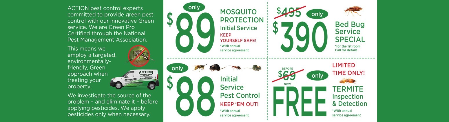 Action Bed Bug Extermination New Jersey | New Jersey Bed Bug Pest Control