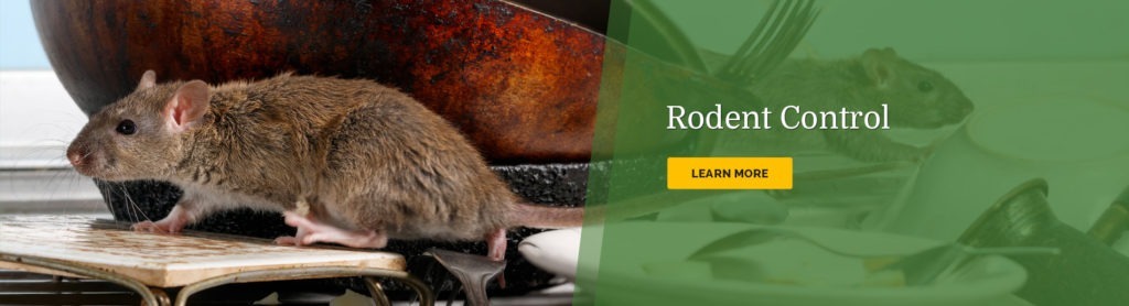 Pest Control NJ - Monmouth County Termite Control & Pest Exterminator ...