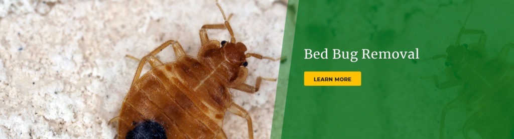 Pest Control NJ - Monmouth County Termite Control & Pest Exterminator ...