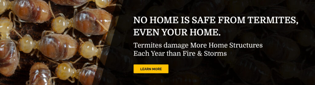 Pest Control NJ - Monmouth County Termite Control & Pest Exterminator ...