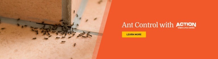 Pest Control NJ - Termite Control and Pest Exterminator NJ - Action ...