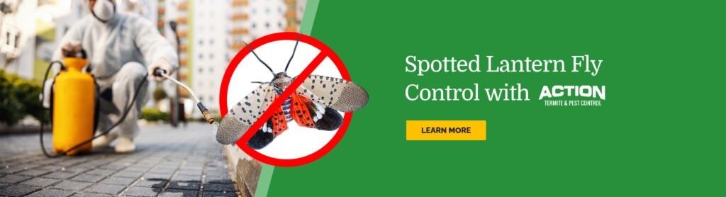 Pest Control NJ - Monmouth County Termite Control & Pest Exterminator ...
