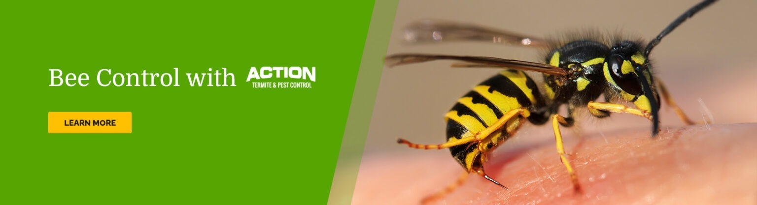 Pest Control NJ - Termite Control and Pest Exterminator NJ - Action ...