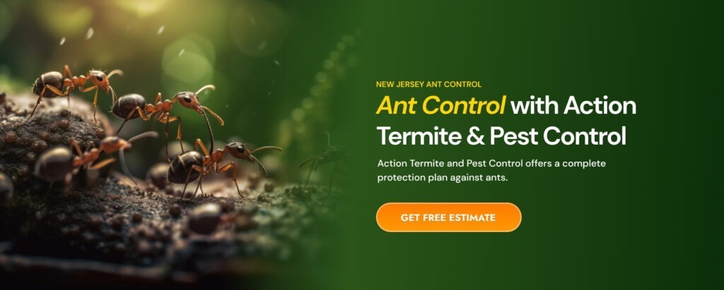 Action Termite & Pest Control - Trusted Pest & Animal Control in NJ