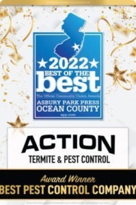 Action Termite & Pest Control - Trusted Pest & Animal Control in NJ