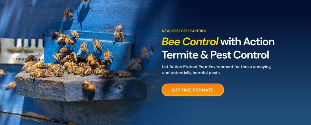 Action Termite & Pest Control - Trusted Pest & Animal Control in NJ
