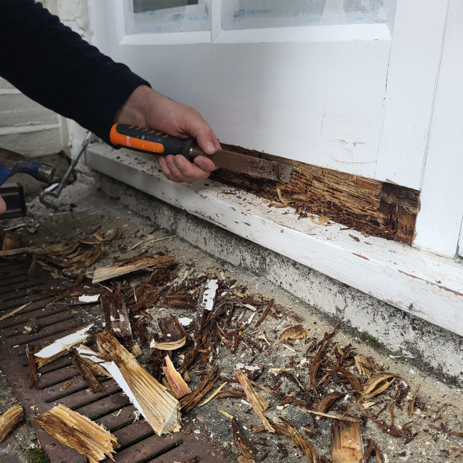 Free Termite Inspections in NJ - Action Termite & Pest Control