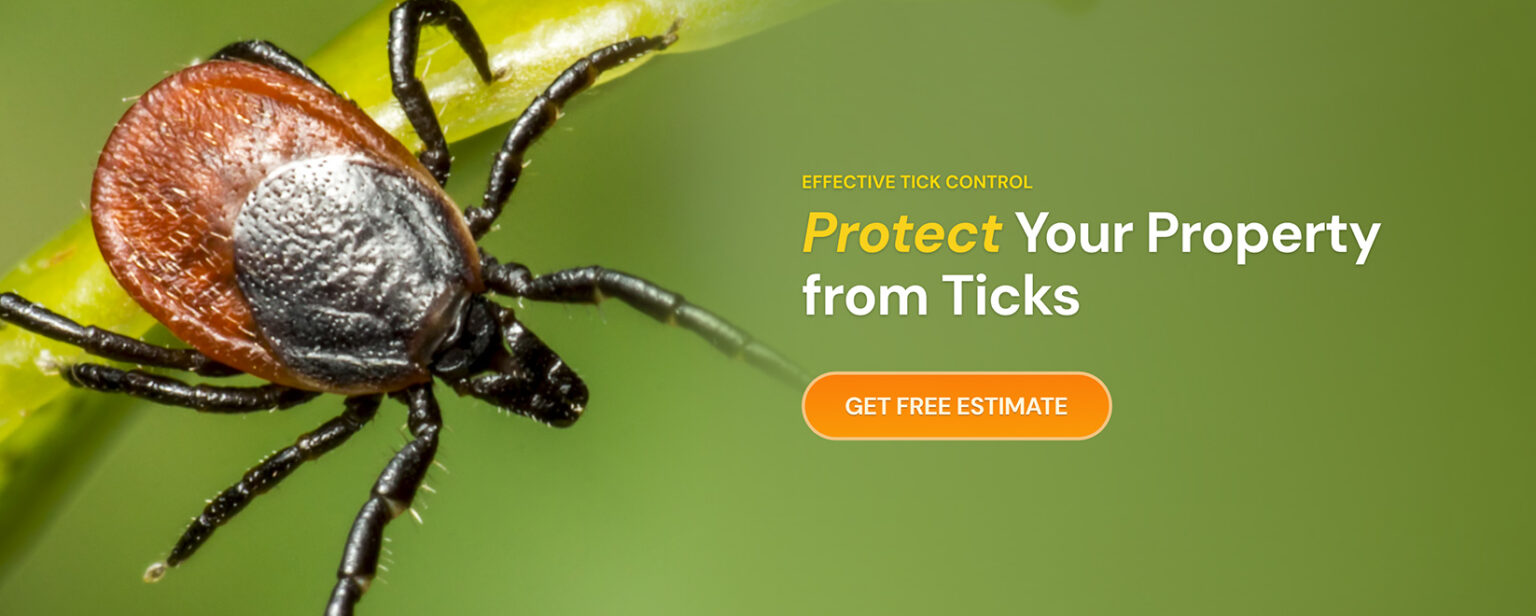 Action Termite & Pest Control - Trusted Pest & Animal Control in NJ